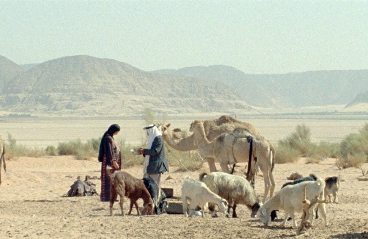 Бедуин - 2011: актеры, рейтинг и отзывы на канале Дом кино